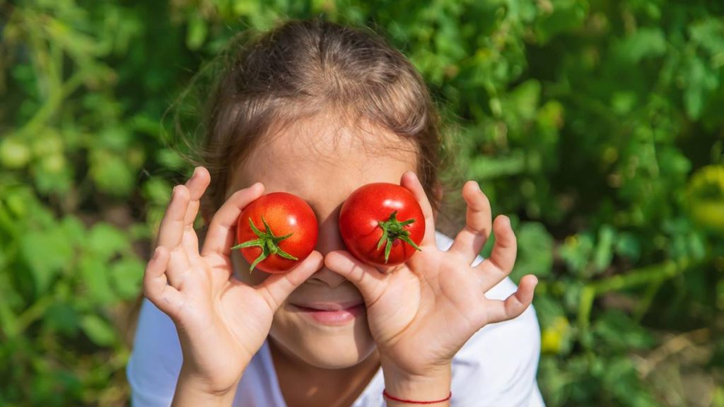 Tomato: Fruit or Vegetable? The Juicy Truth Behind the Debate - Hipstafood Blog